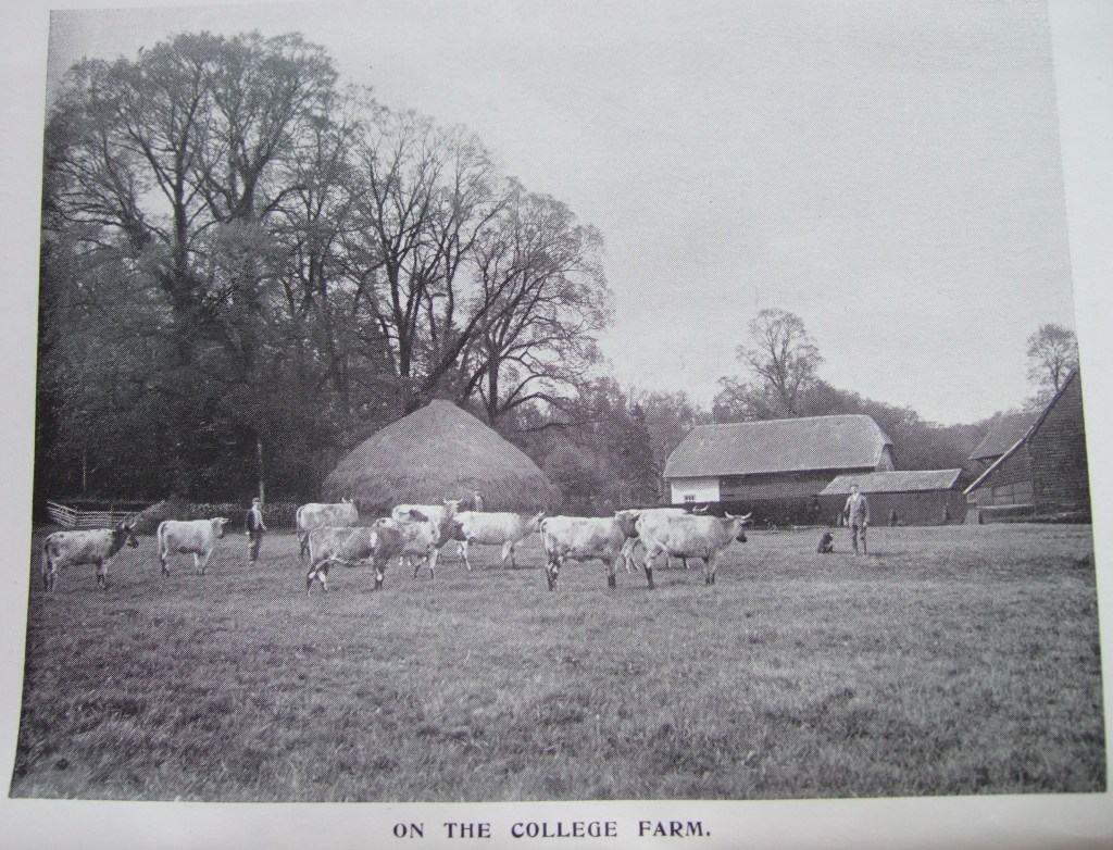 12. college farm – READING HISTORY