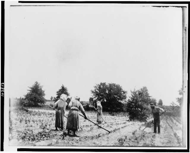 #BHM ‘She hits massa with de hoe:’ The Weaponization of Plantation ...